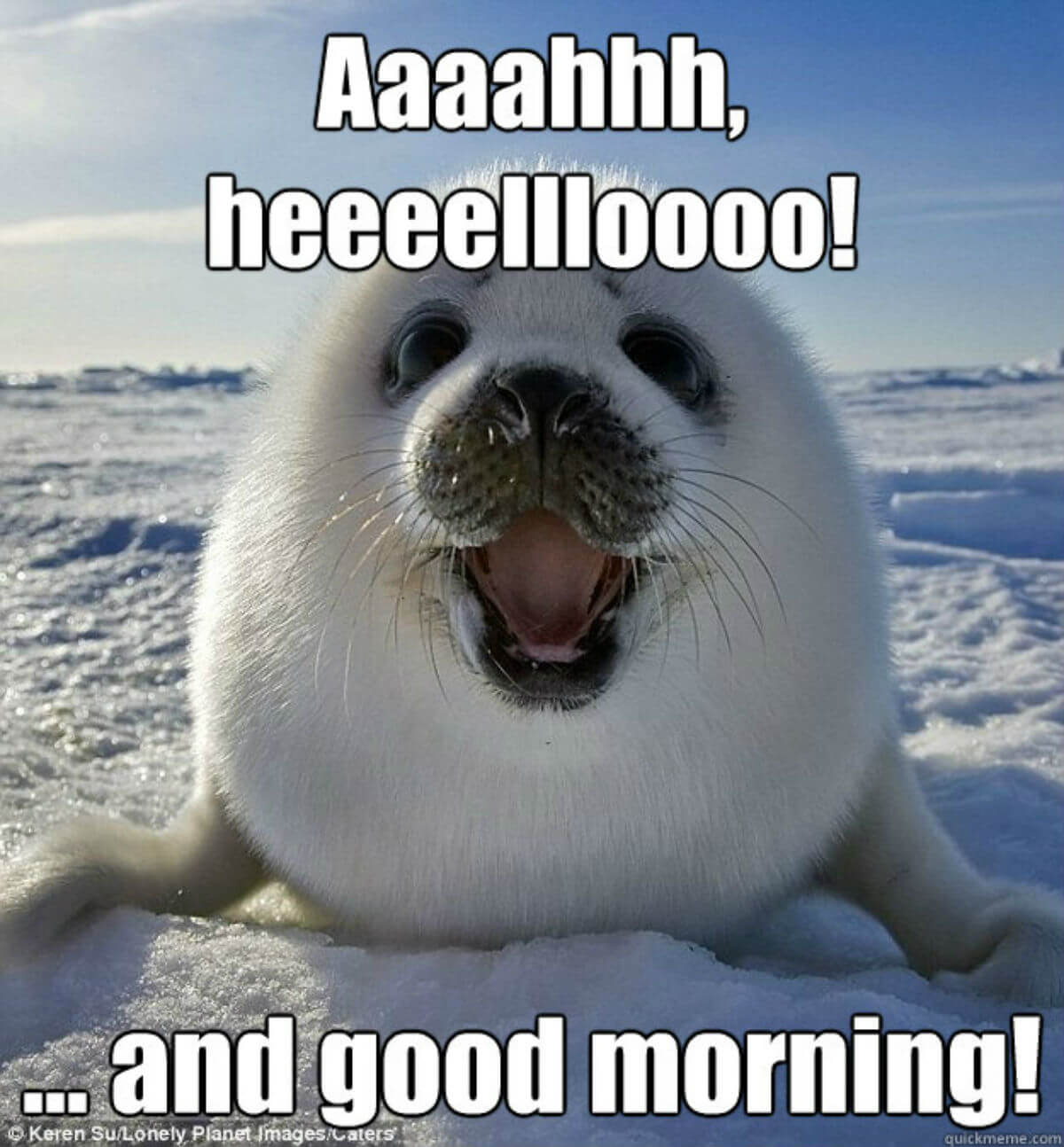 30 Good Morning Meme Pictures That Will Definitely Make Your Day Better