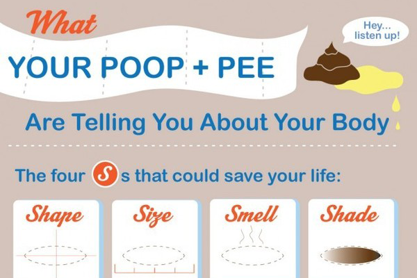 This Poop Infographic Is The Most Important Thing Ever