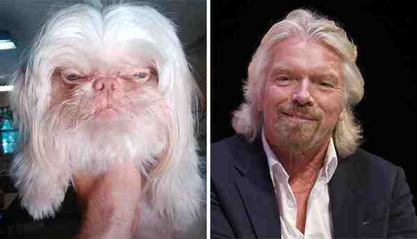 27 Unbelievably Accurate Dog Lookalikes That Will Give You Chills