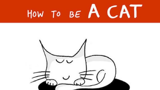 Learn How to Be a Cat in 23 Simple Steps
