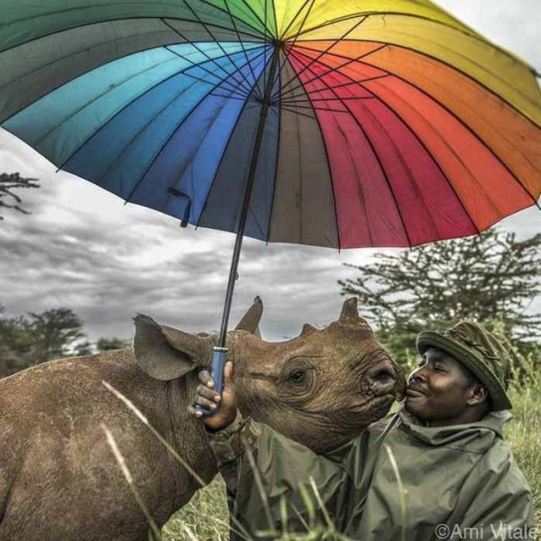 37 Funny Moments of Life Photos Will Surely Lighten You Up