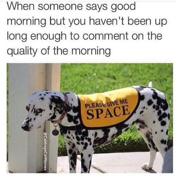 20 Dog Photos That Hilariously Describe The Mondays Blues