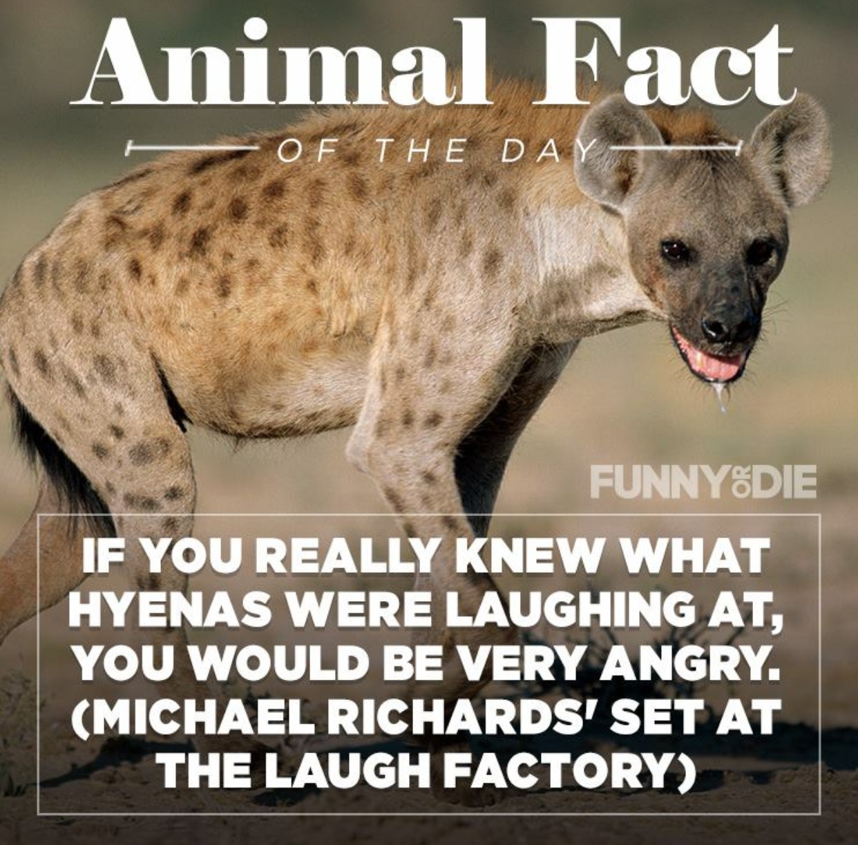 25 Funny Animal Facts That Might Make You Pee A Little 25 Funny Animal Facts That Might Make You Pee A Little
