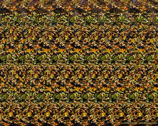 Can You See The Hidden Pictures In These Parallel Viewing Images Can You See The Hidden Pictures In These Parallel Viewing Images