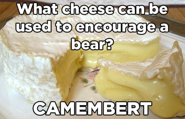 22 Cheese Puns That Are Too Important And Funny To Miss Out