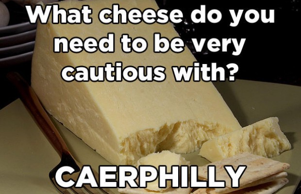 22 Cheese Puns That Are Too Important And Funny To Miss Out