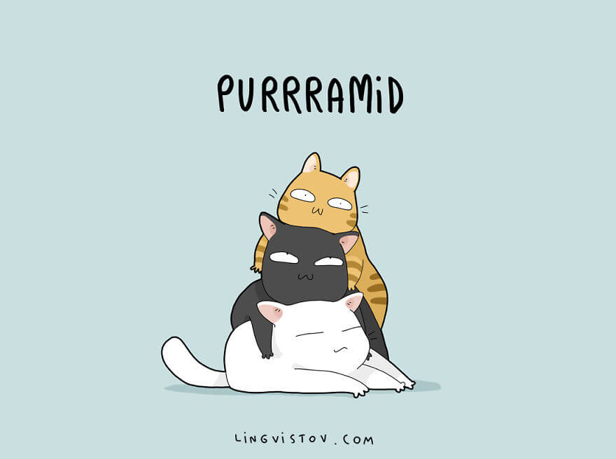 The Only 21 Cat Puns You Will Ever Need Are Right Here The Only 21 Cat Puns You Will Ever Need Are Right Here