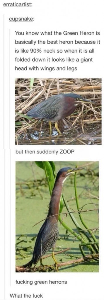 The 58 Best Tumblr Posts Of All Time