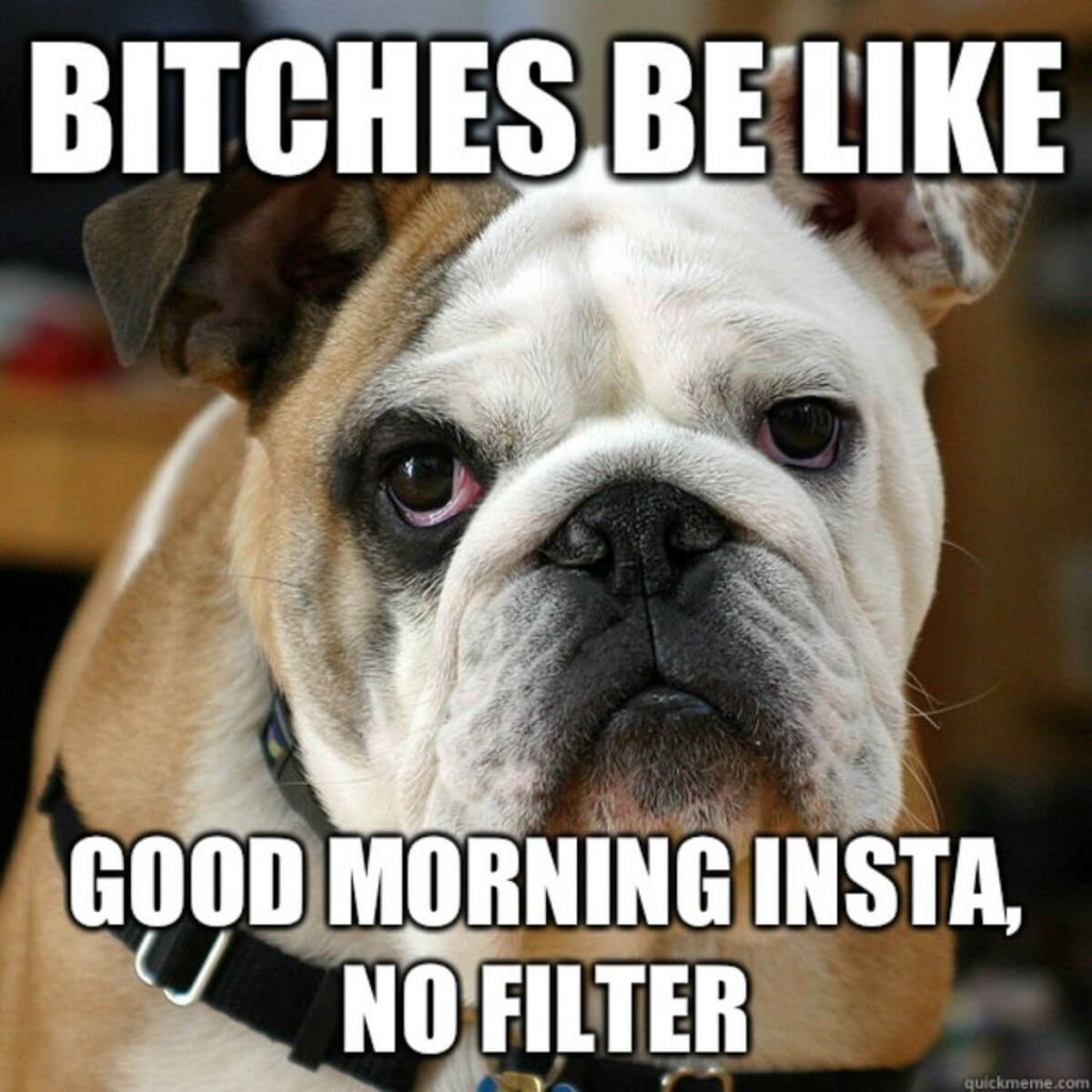 30 Good Morning Meme Pictures That Will Definitely Make Your Day Better