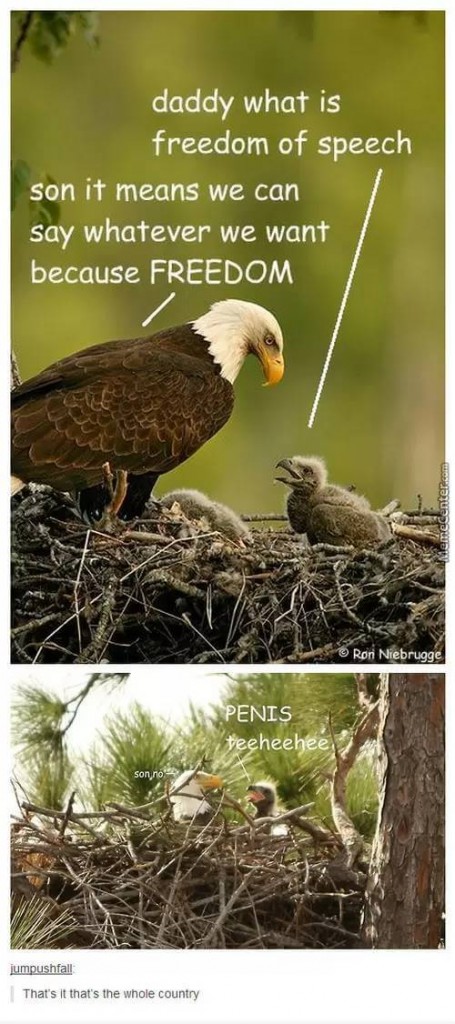 26 Freedom Meme Pictures To Remind You That Being Free Is a Privilege