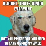 26 Business Dog Meme Pictures That Will Brighten Up Your Office Time