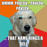 26 Business Dog Meme Pictures That Will Brighten Up Your Office Time
