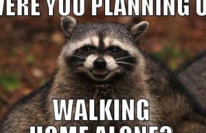 Memes make the internet go, this is where they live