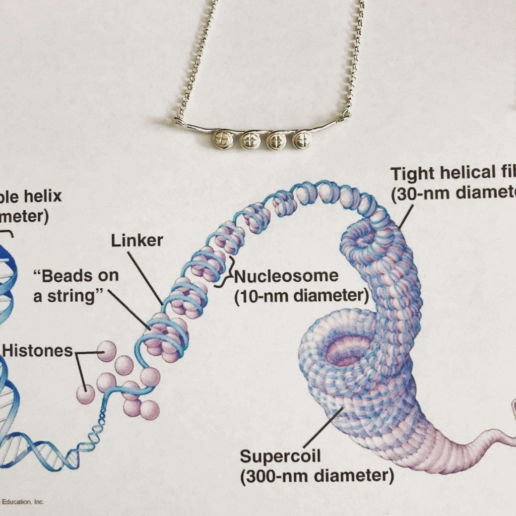 Science Inspired Jewelry Are The Beautiful Creations Of Somersault18:24 ...