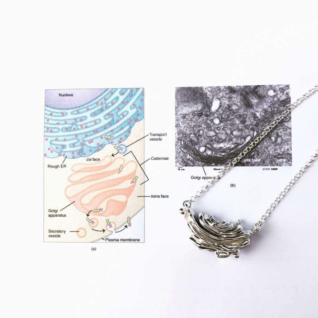 Science Inspired Jewelry Are The Beautiful Creations Of Somersault18:24 ...