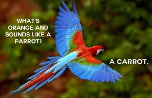 20 Cringey Jokes That Are So Bad They're Hilarious