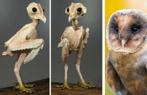 Animals - Animal Stories, Adorable Pet Pictures And More