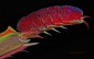 Igor Siwanowicz Laser Scanning Microscope Insect Photos Reveal Their ...