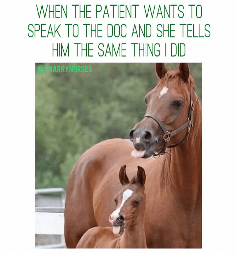 38 Nursing School Memes That Every Nurse To Be Can Relate To