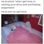 38 Nursing School Memes That Every Nurse To Be Can Relate To