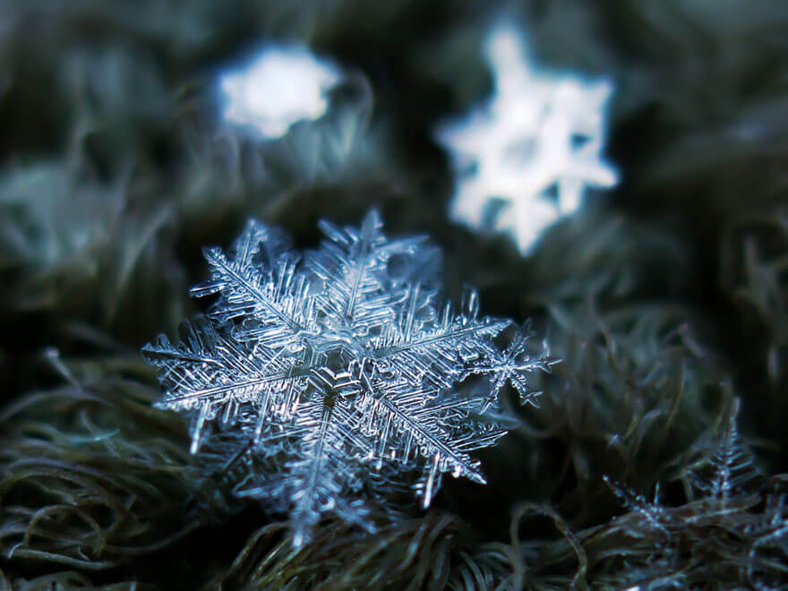 Breathtaking Snowflakes Macro Photography By Russian Artist Alexey Kljatov Breathtaking Snowflakes Macro Photography By Russian Artist Alexey Kljatov