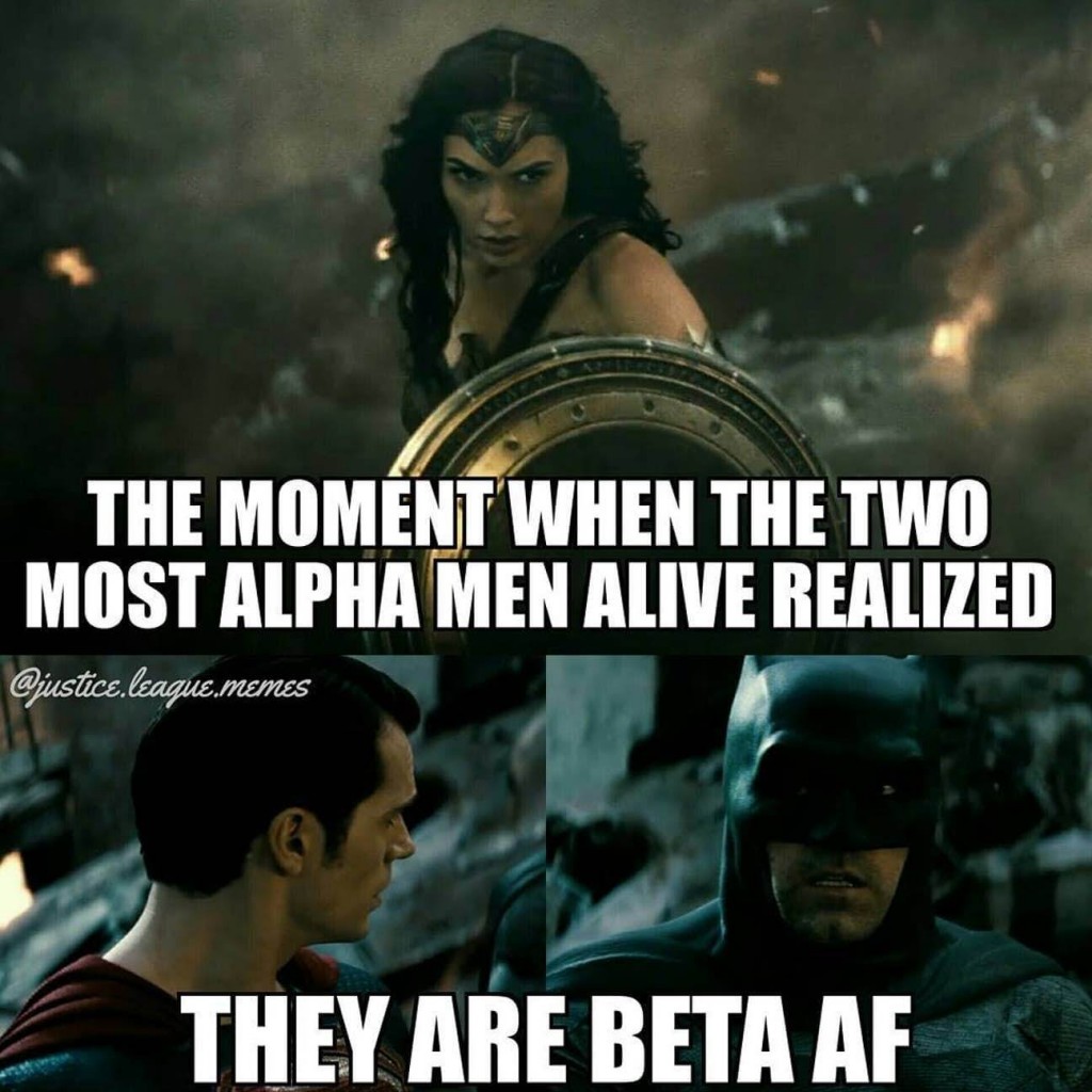 22 Justice League Memes For Fans Of Both Sides Of The Comic Universe