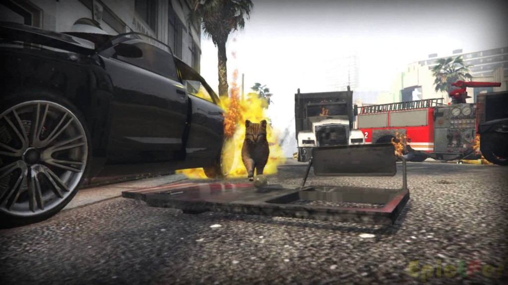 20 Cats Walking Away From Explosions As a Parody To Cool Guys Don't ...