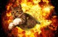 20 Cats Walking Away From Explosions As a Parody To Cool Guys Don't ...