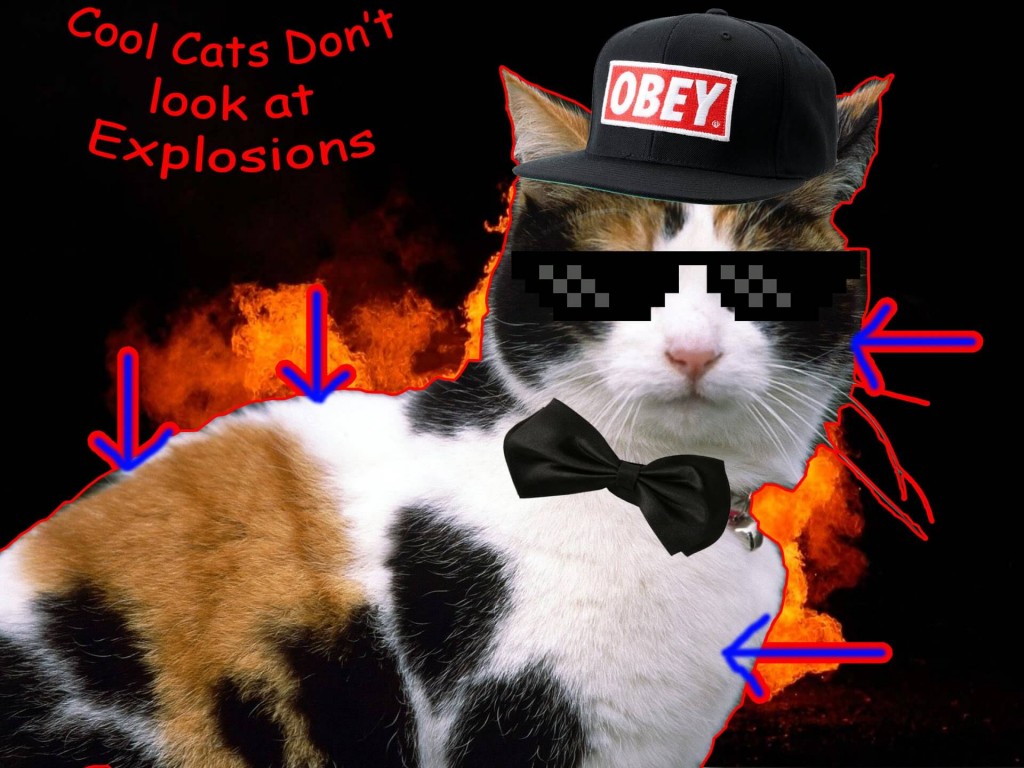 20 Cats Walking Away From Explosions As a Parody To Cool Guys Don't ...