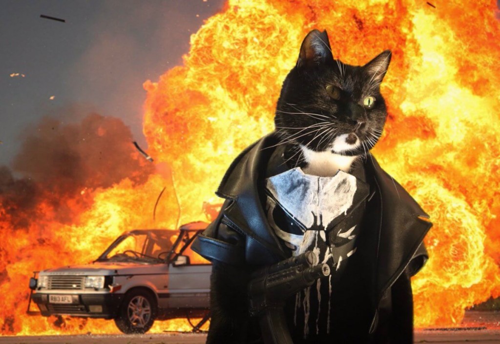 20 Cats Walking Away From Explosions As a Parody To Cool Guys Don't ...