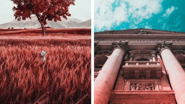 How People With Tritanopia Color Blindness See The World