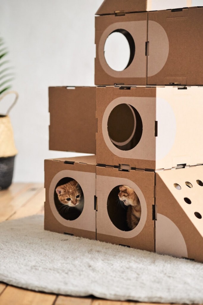 Adorable Cardboard Furniture For Cats Created By Design Studio