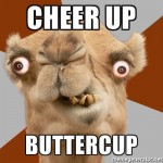 33 Memes To Cheer You Up And Make Your Day Instantly Better