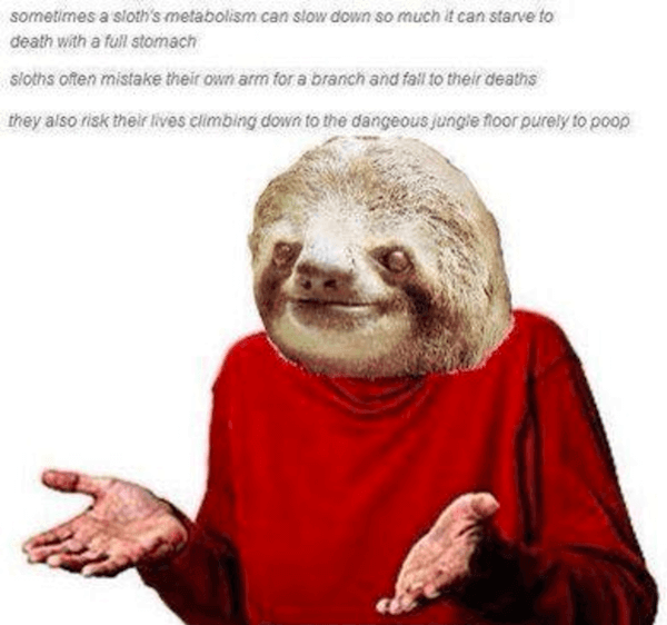 29 Guess I ll Die Memes That Will Bring You Back To Life