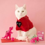 Meet Zappa. The Cat Cooler Than You And With a Wardrobe To Die For