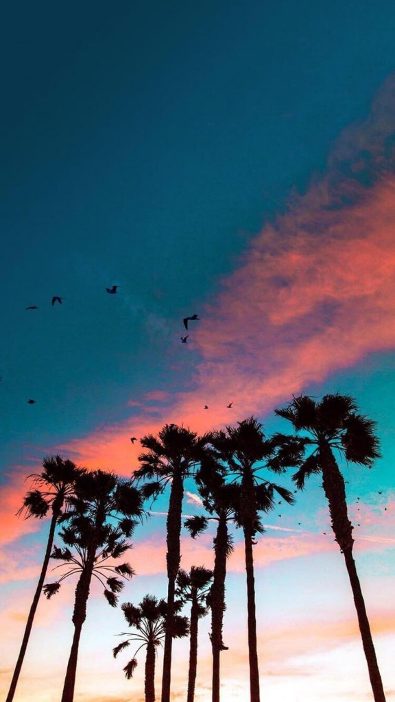 50 Mobile Wallpaper Inspiration For Those In Need Of a Change