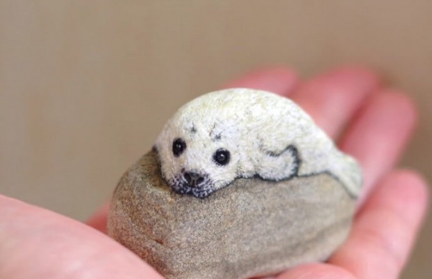 From stones to cute animals in 21 heartwarming pictures