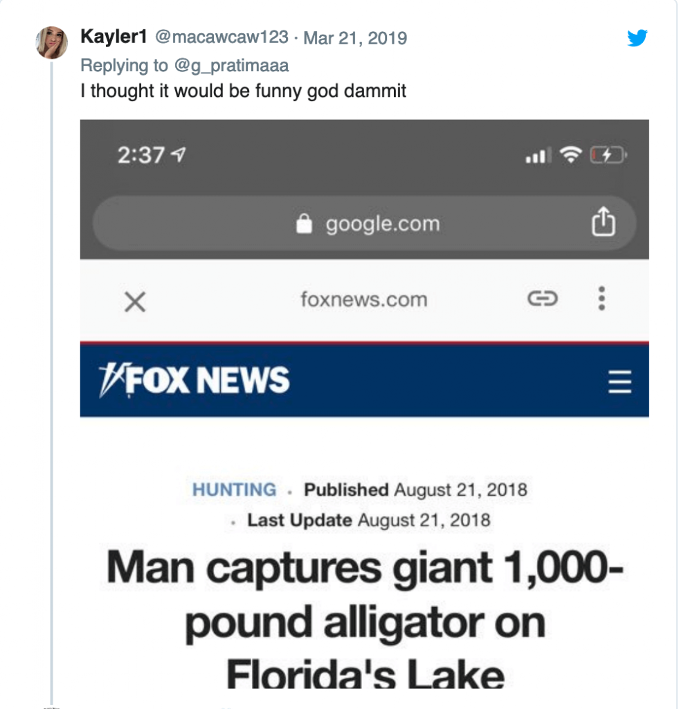 The Florida Man Challenge most hilarious 19 tweets
