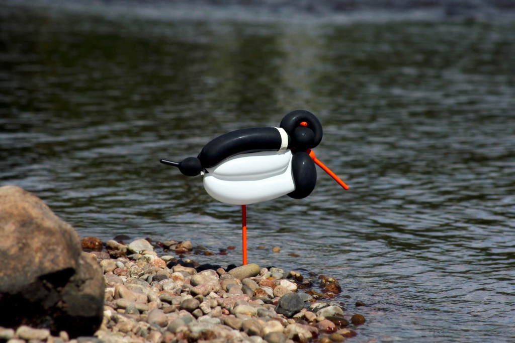 These balloon birds will trick you into thinking they're real