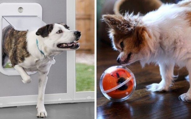 8 Gadgets for pets that you need to see