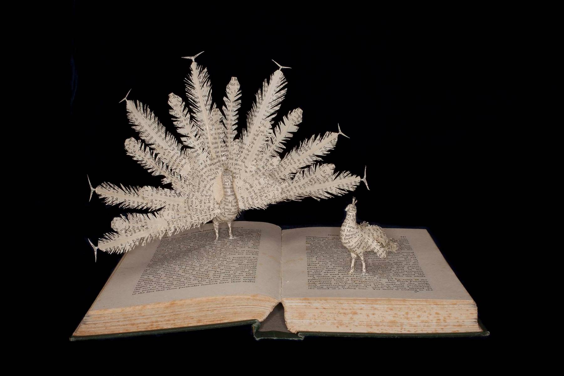 Artist creates incredible book sculptures from antique books paper