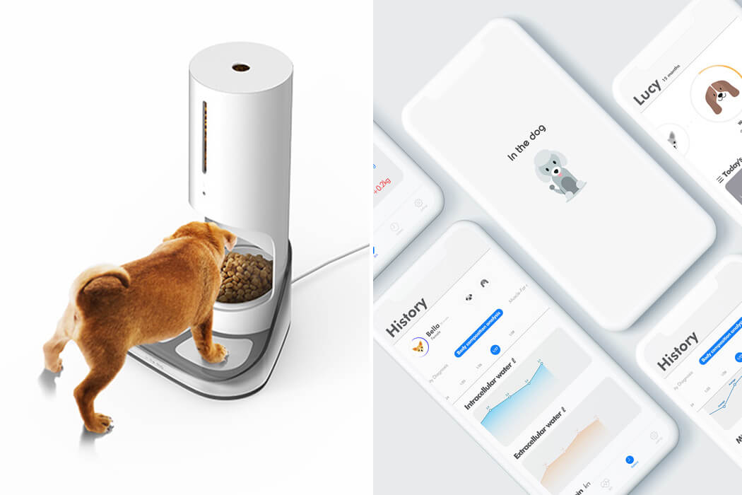 This is the Automatic Feeder for Dogs That Prevents Your Dog From ...