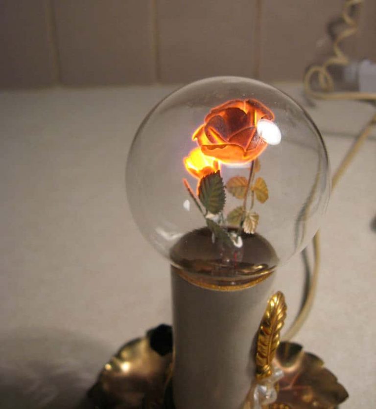 Vintage Light Bulb With Rose Inside by Aerolux Light Corporation is ...