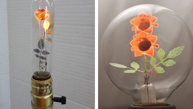 Vintage Light Bulb With Rose Inside by Aerolux Light Corporation is ...