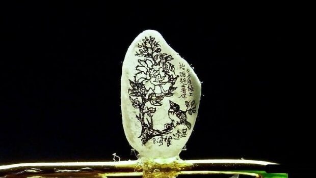 Tiny Rice Grain Art by Cheng Forng Shean is Raising a Lot of Questions