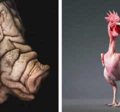 Photography - Amazing Photographs By Talented People