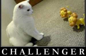 37 Funny Memes About Life That Will Make You Pee From Laughter