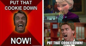 Put That cookie Down NOW Meme and Why We Love it so Much