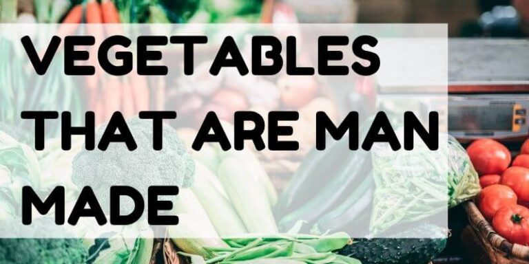 5 Vegetables That are Man Made. #4 Will Surprise You