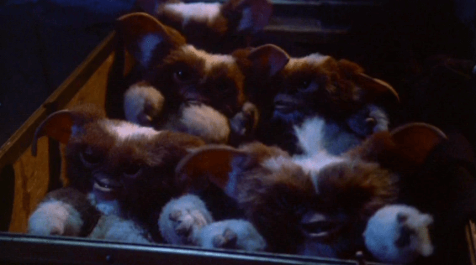 24 Facts About Gremlins: The Movie
